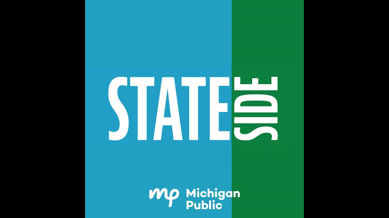 Michigan’s 2024 Primary Results | One-News