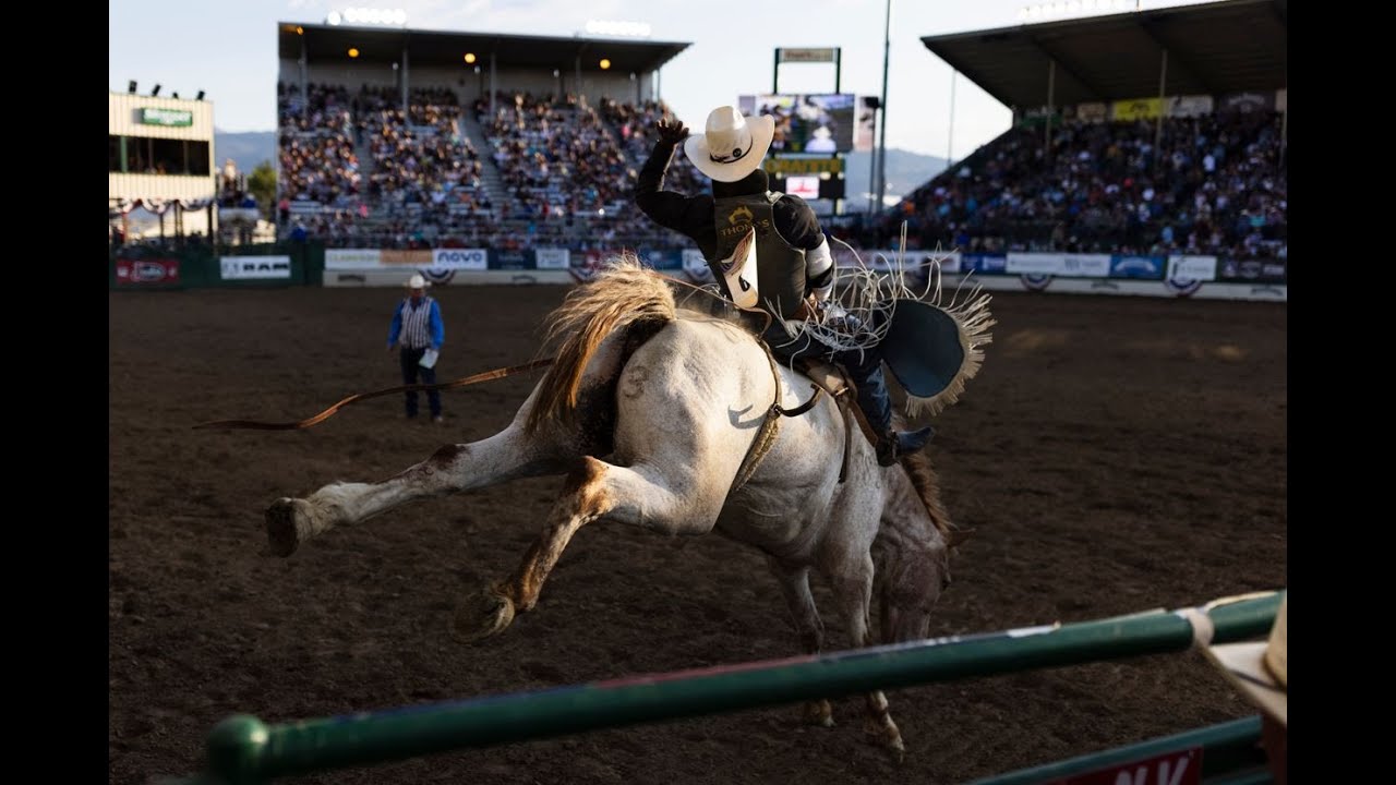 The Houston Rodeo Parade is here! | One-News