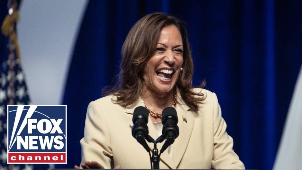 Inside look at Kamala Harris' top VP contenders | One-News