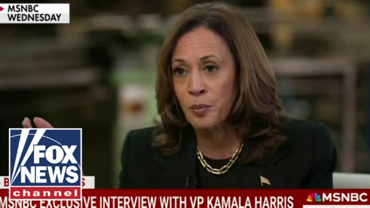 'BEST WE HAVE': Kamala Harris roasted for one-on-one interview | One-News
