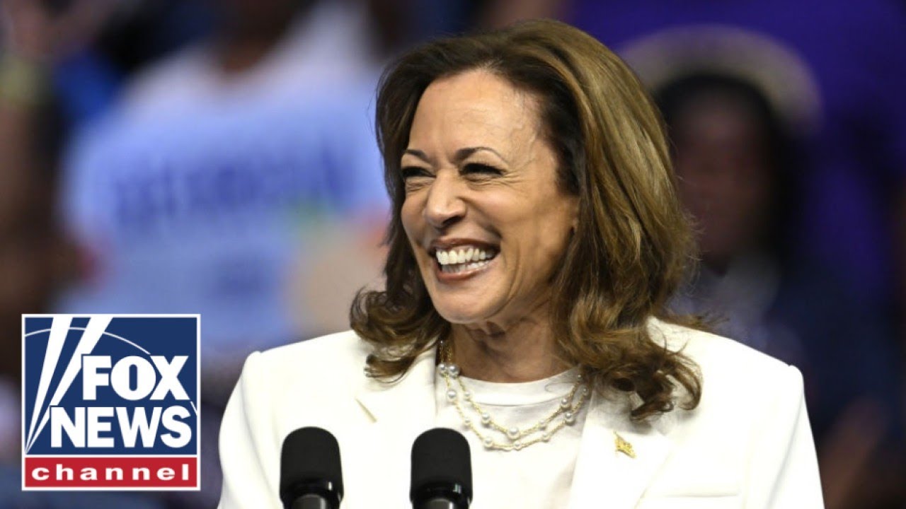 CNN host surprised by Kamala Harris' left-wing positions | One-News