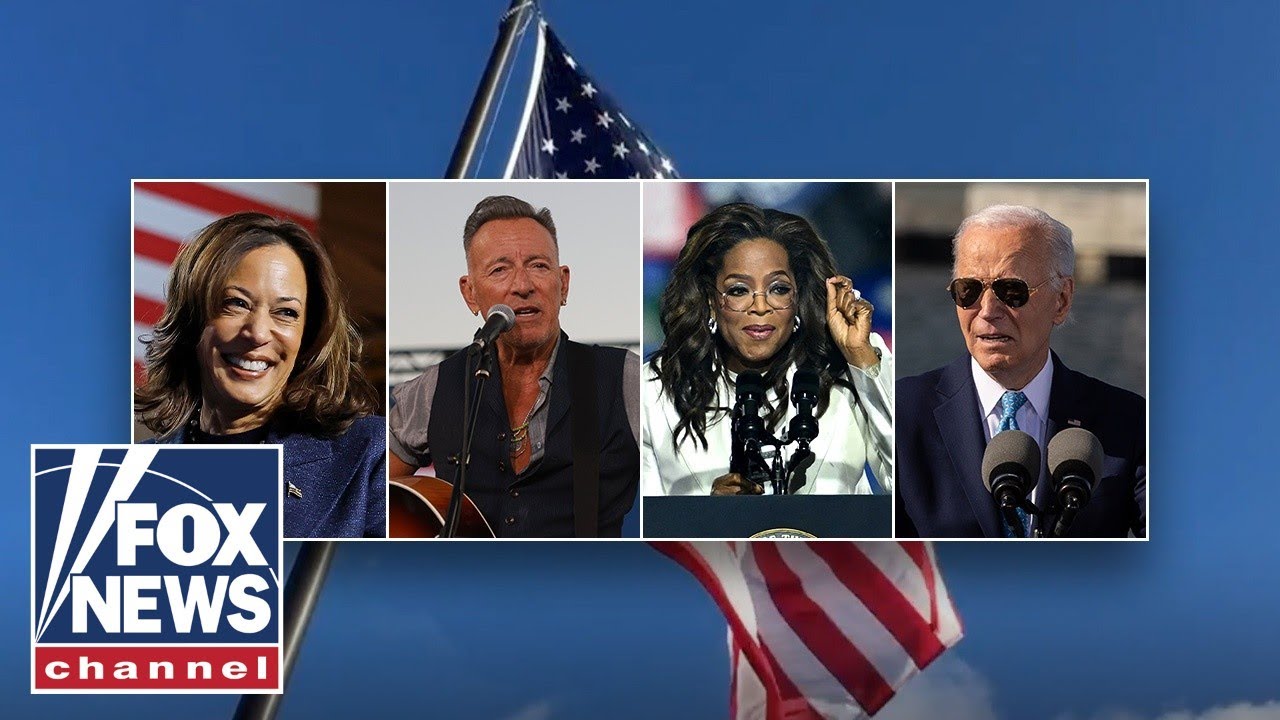 Fox News hosts share their ‘winners and losers’ of the 2024 campaign | One-News