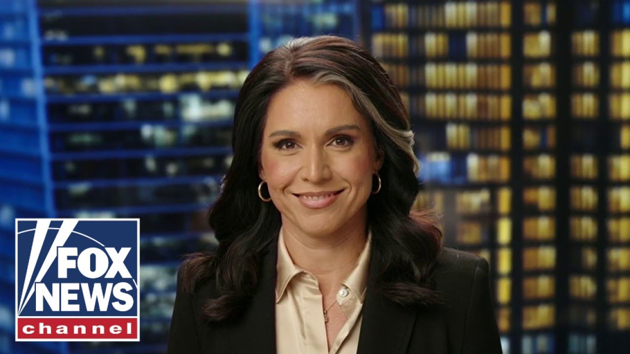 Tulsi Gabbard on NSA chatrooms: This is an ‘egregious violation of ...