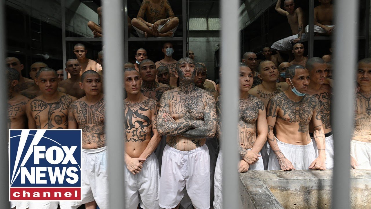 Capture of MS-13 Gang Leader is 'a win' for the American People | One-News