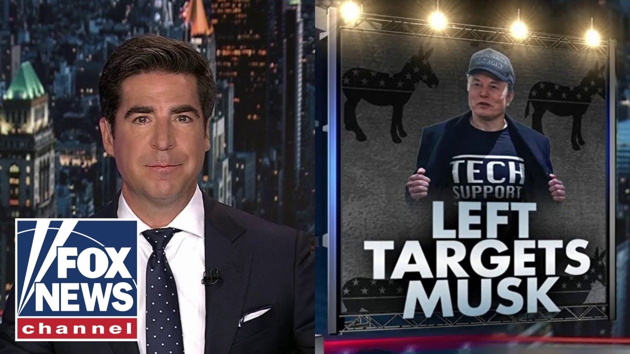 Elon Musk has a ‘big target’ on his back: Watters | One-News