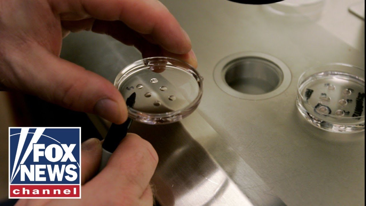 Designer babies? The pros and cons of embryo screening during IVF | One ...