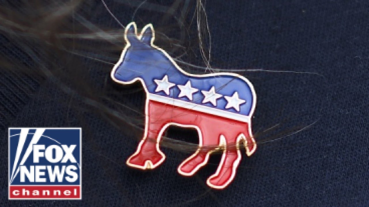 'BUZZWORD BATTLE': Dems divided over method to regain voters - One-News