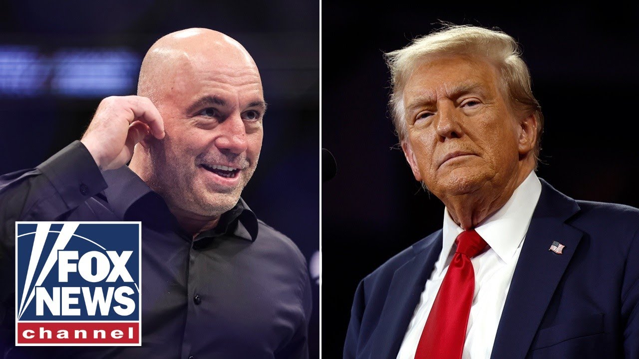 Democrats to spend millions in 'liberal Joe Rogan' search | One-News