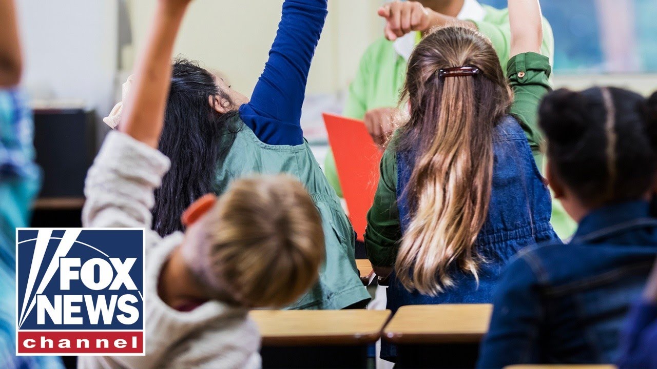 Liberal state's new law called out as 'really dangerous' | One-News