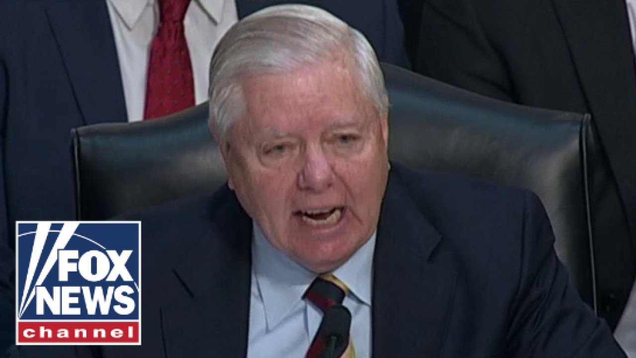 Graham goes SCORCHED EARTH in fiery hearing: 'Give me a break!' - One-News