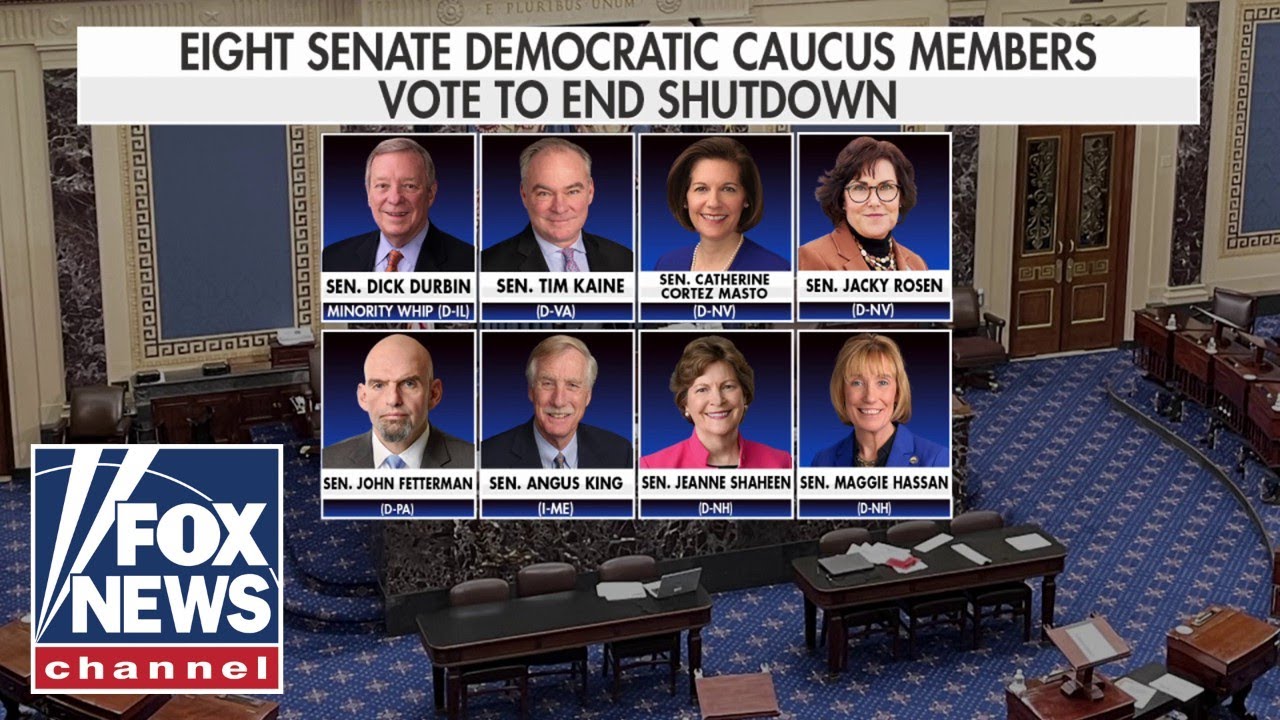 BREAKING: Eight Democrats break with party to advance plan to end ...