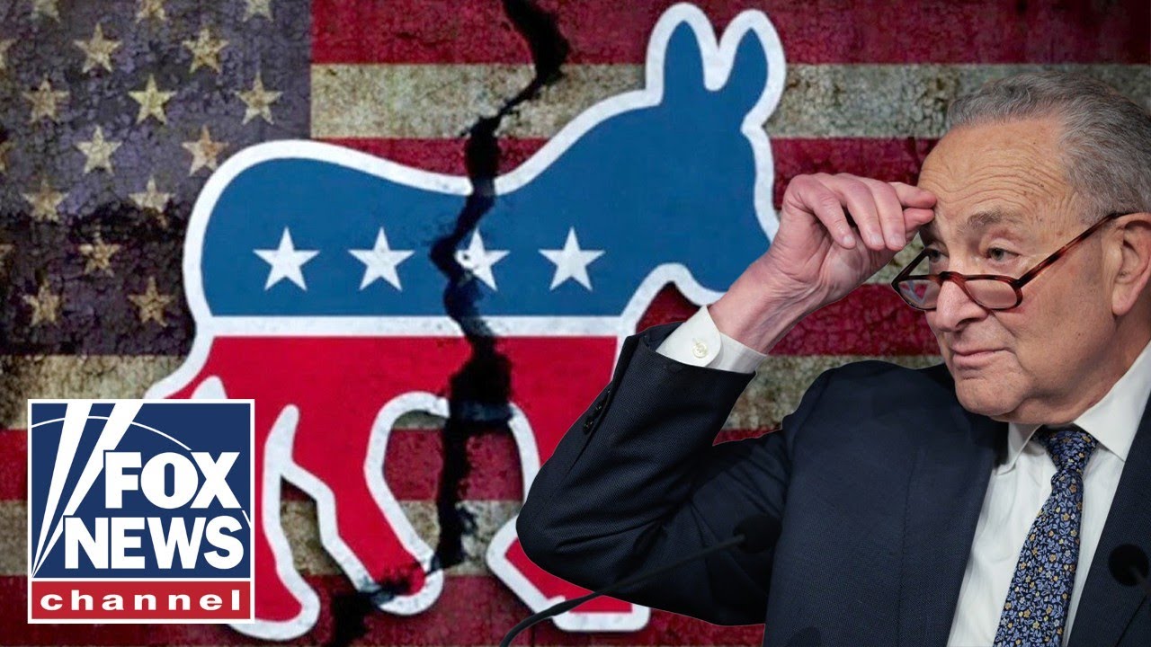 Schumer’s probably safe — for now: Brit Hume - One-News