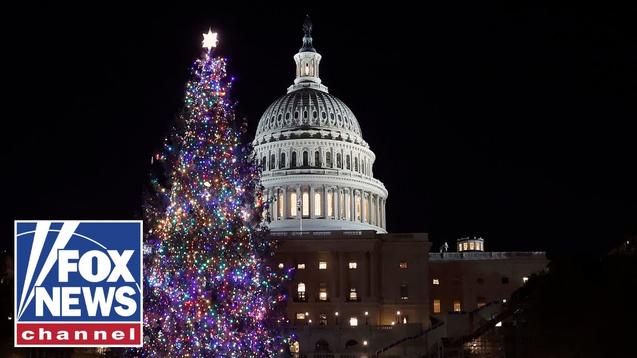 WATCH: 2025 US Capitol Christmas Tree arrives at Joint Base Andrews on ...