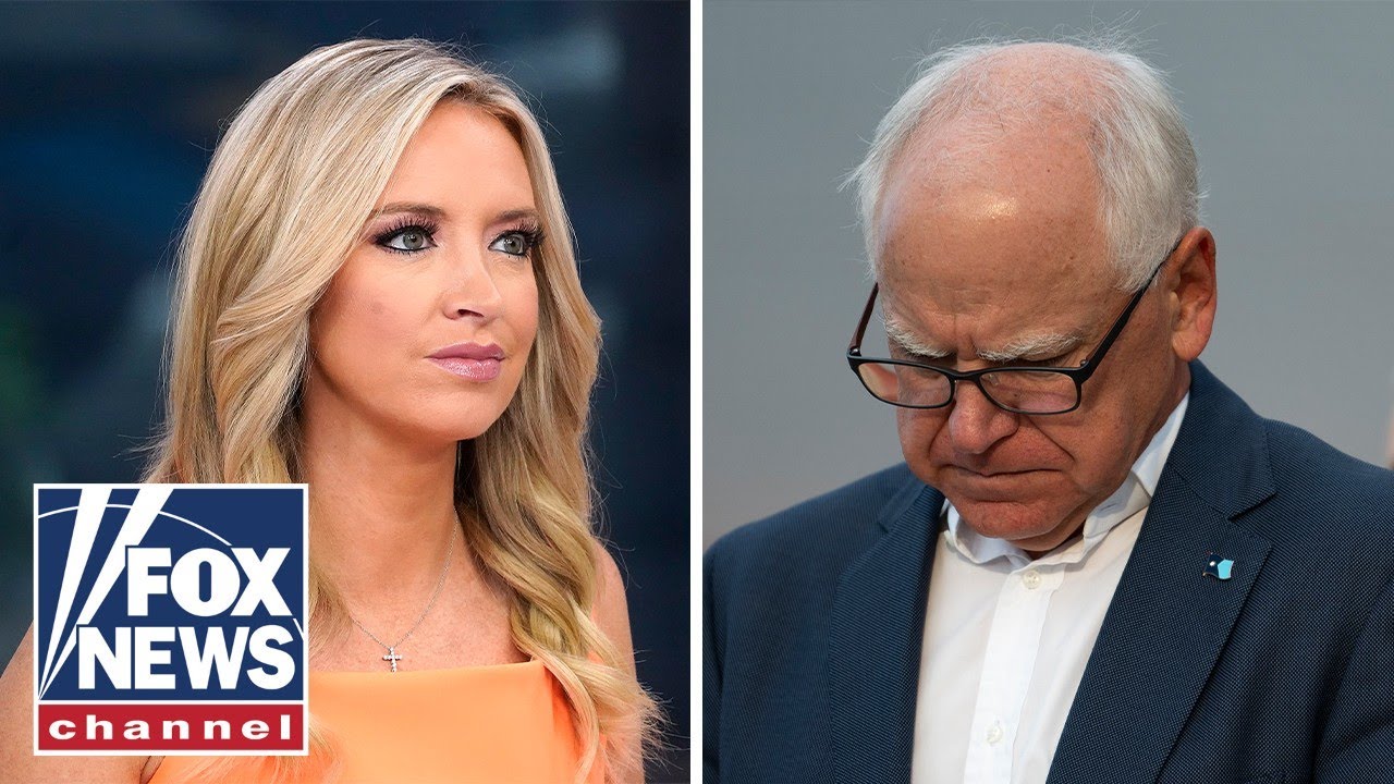 Kayleigh McEnany: This Minnesota fraud case is 'SHOCKING' | One-News