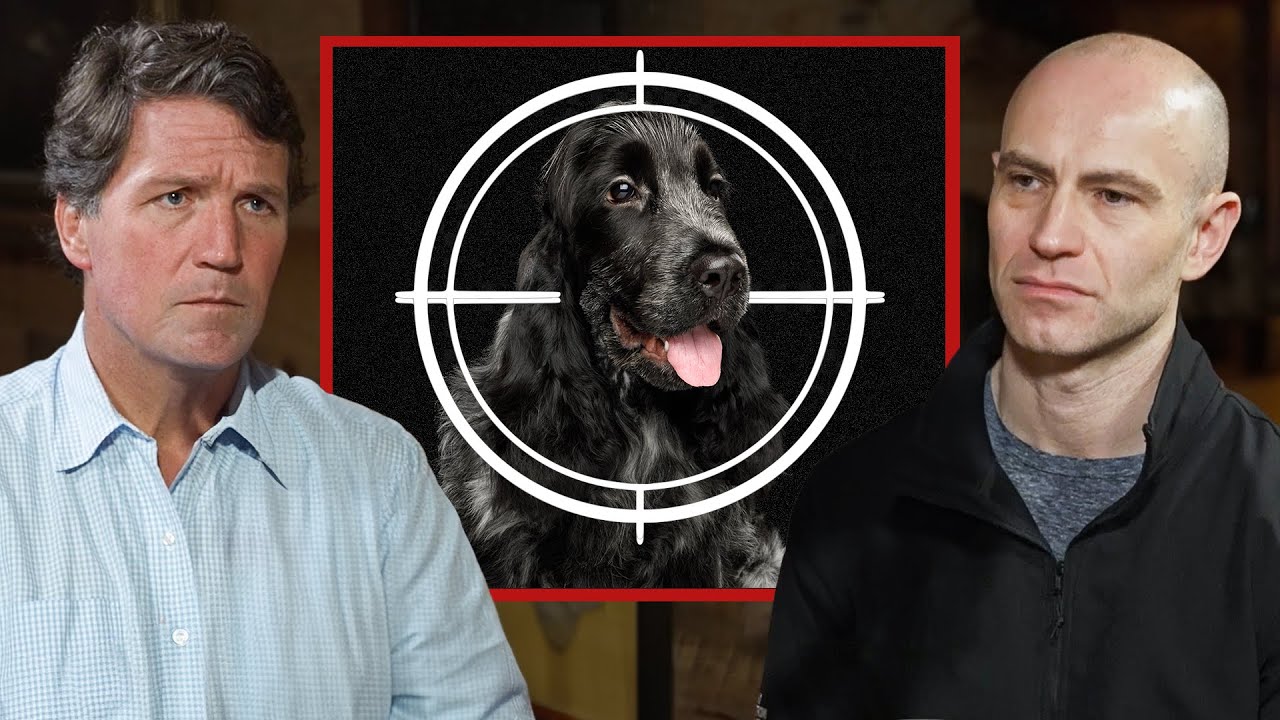 “Millions of Dogs Will Die” - Private Equity’s Emotional Blackmail of ...