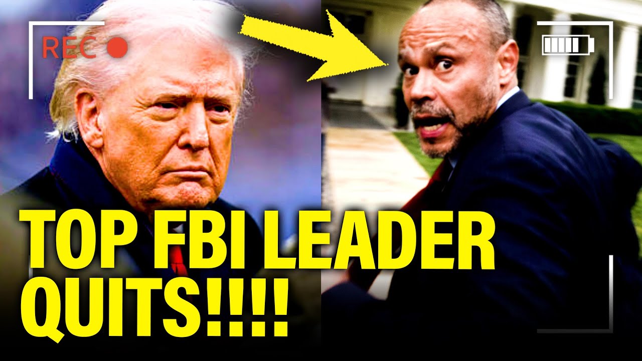 TOP FBI Leader SUDDENLY QUITS before EPSTEIN FILES RELEASED - One-News