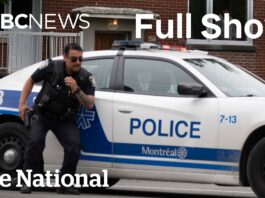 CBC News: The National | Manifesto suggests motive for Montreal ...